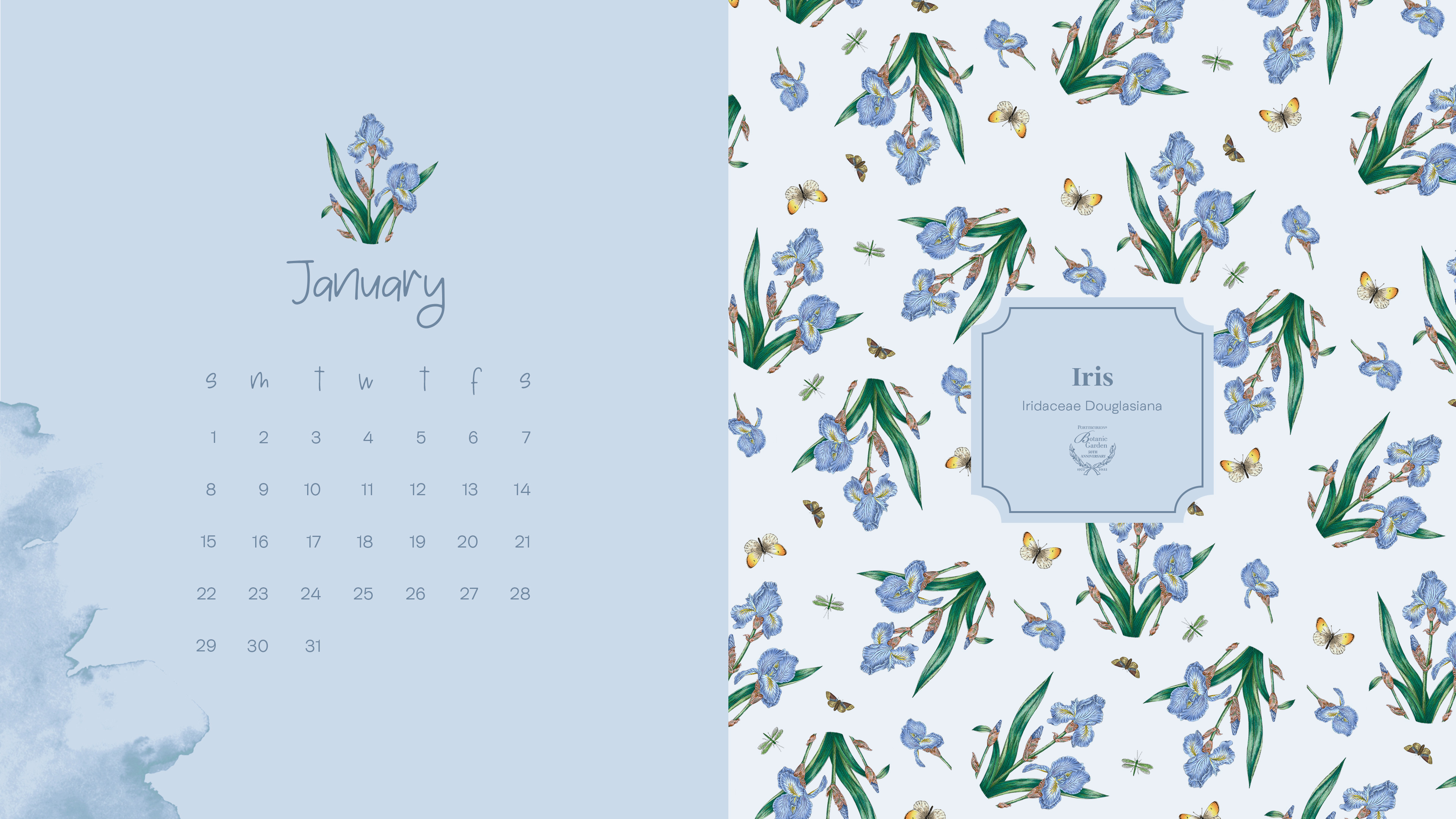 View Previous Months flower wallpaper