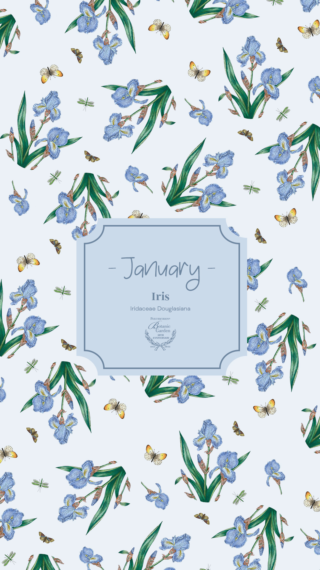 View Previous Months flower wallpaper