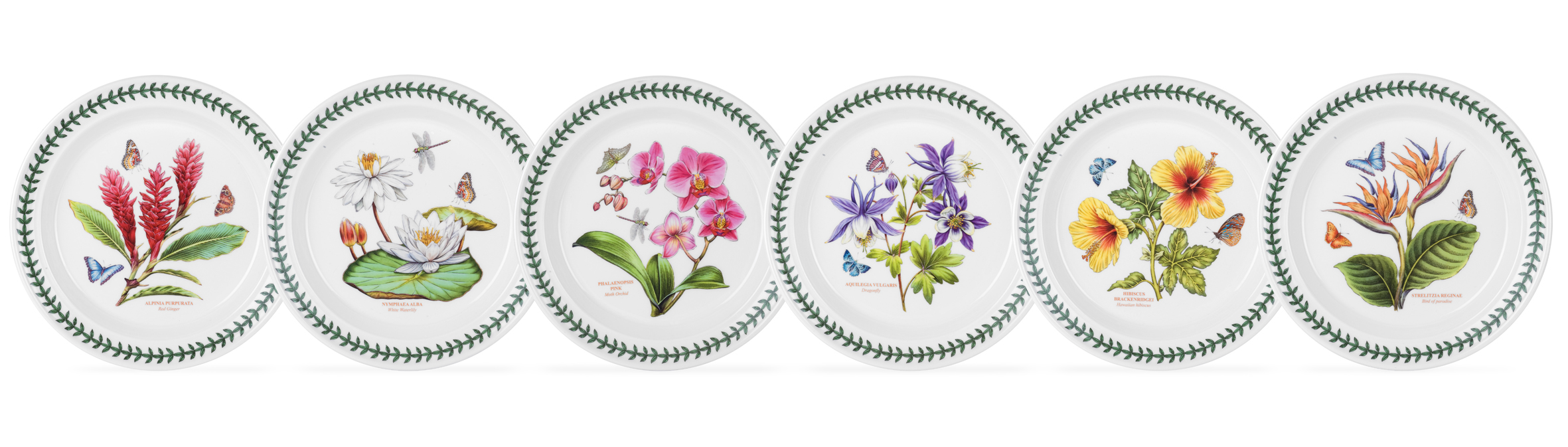 Exotic Botanic Garden Dinner Plates Set of 6 | Portmeirion