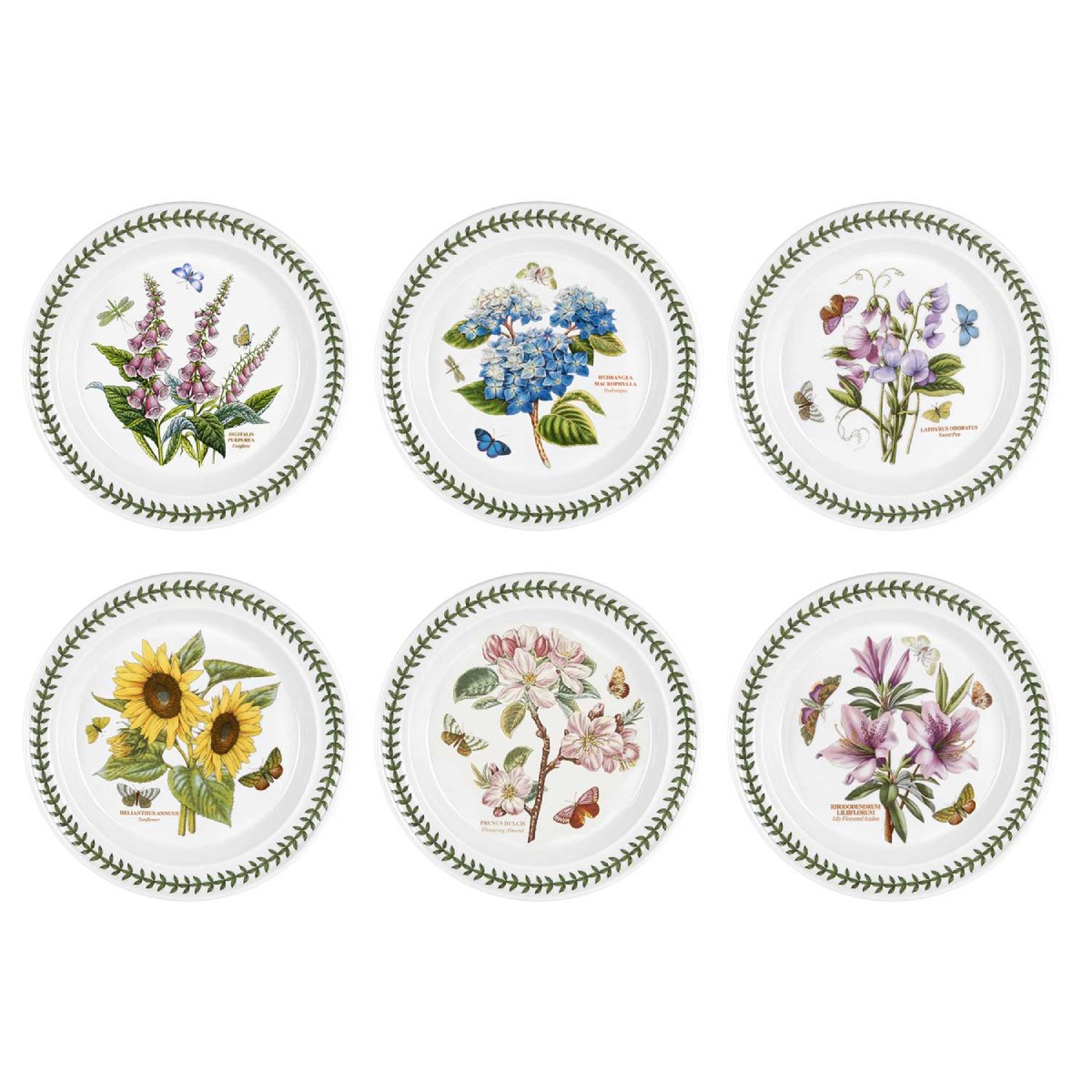 Botanic Garden Dinner Plates Set of 6 | Portmeirion
