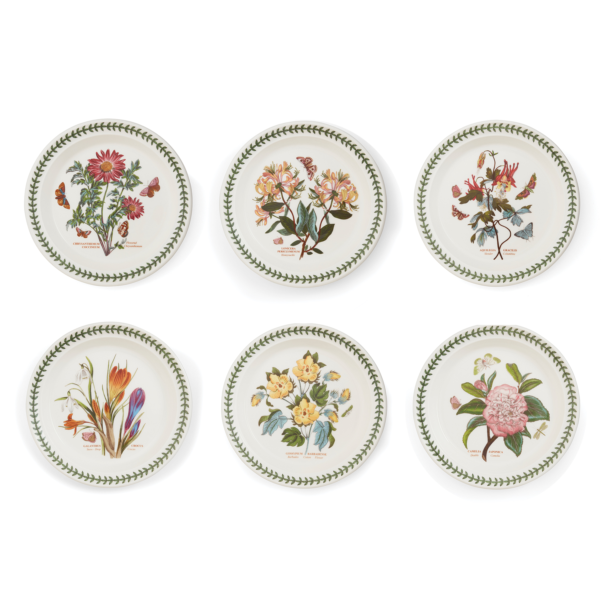 Botanic Garden 50th Anniversary 18 Piece Dinnerware Set | Portmeirion